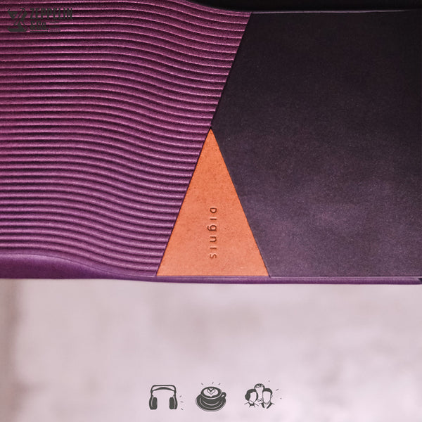 Dignis Aster Hiby R6 Pro II Case – Zeppelin & Co