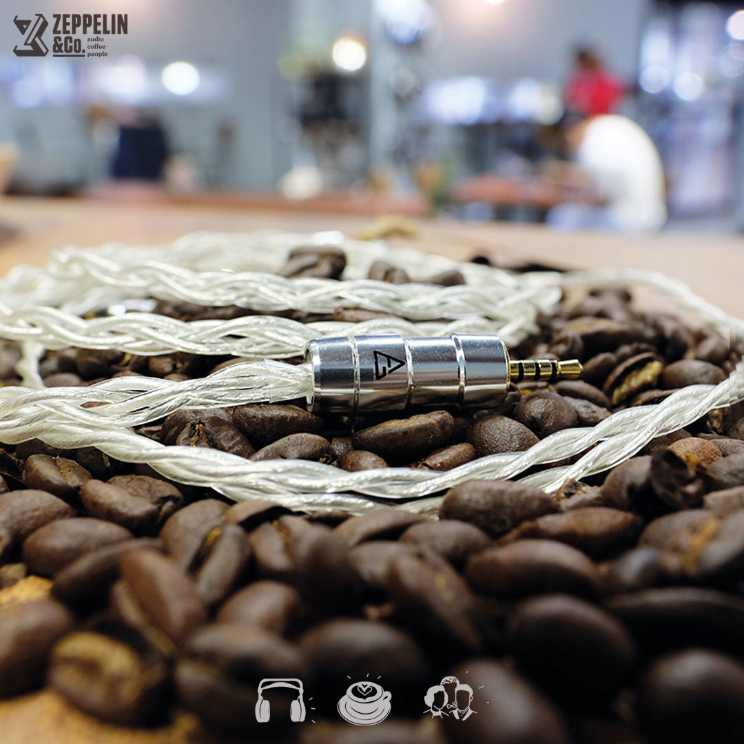 Audio Genetic Venus – Zeppelin & Co